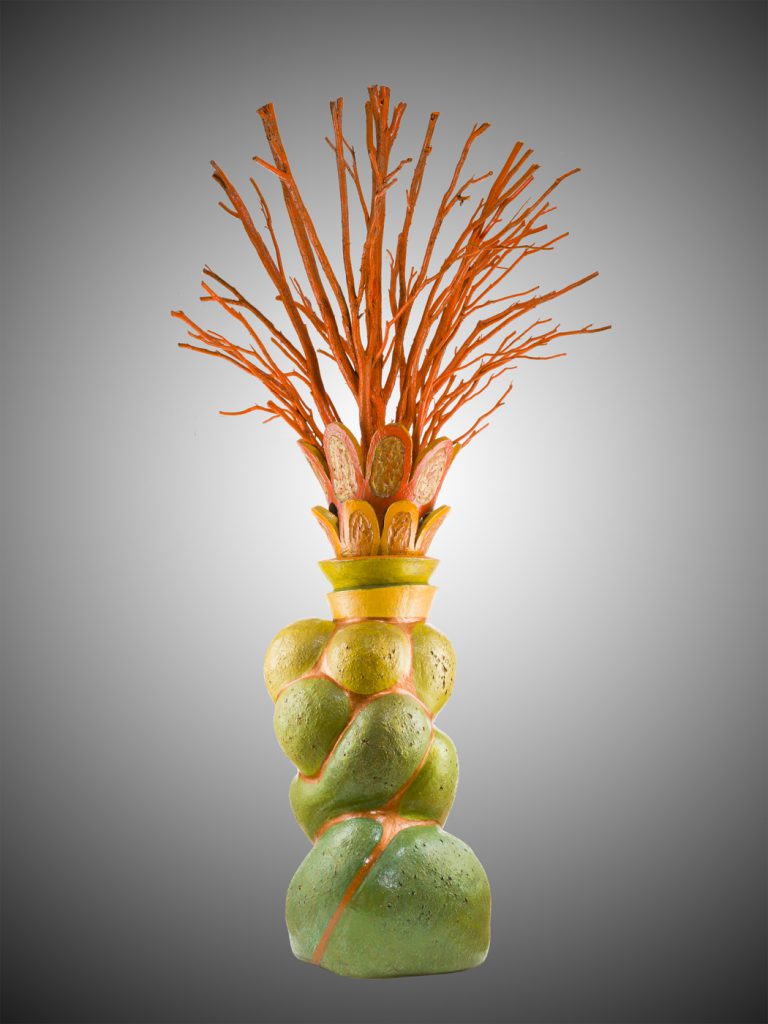 Portfolio – Barbara Kobylinska