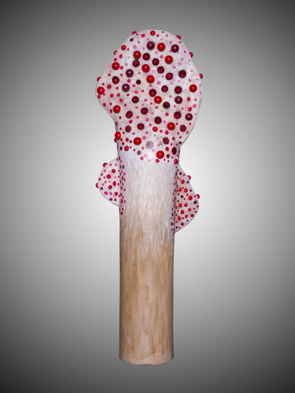 Portfolio – Barbara Kobylinska